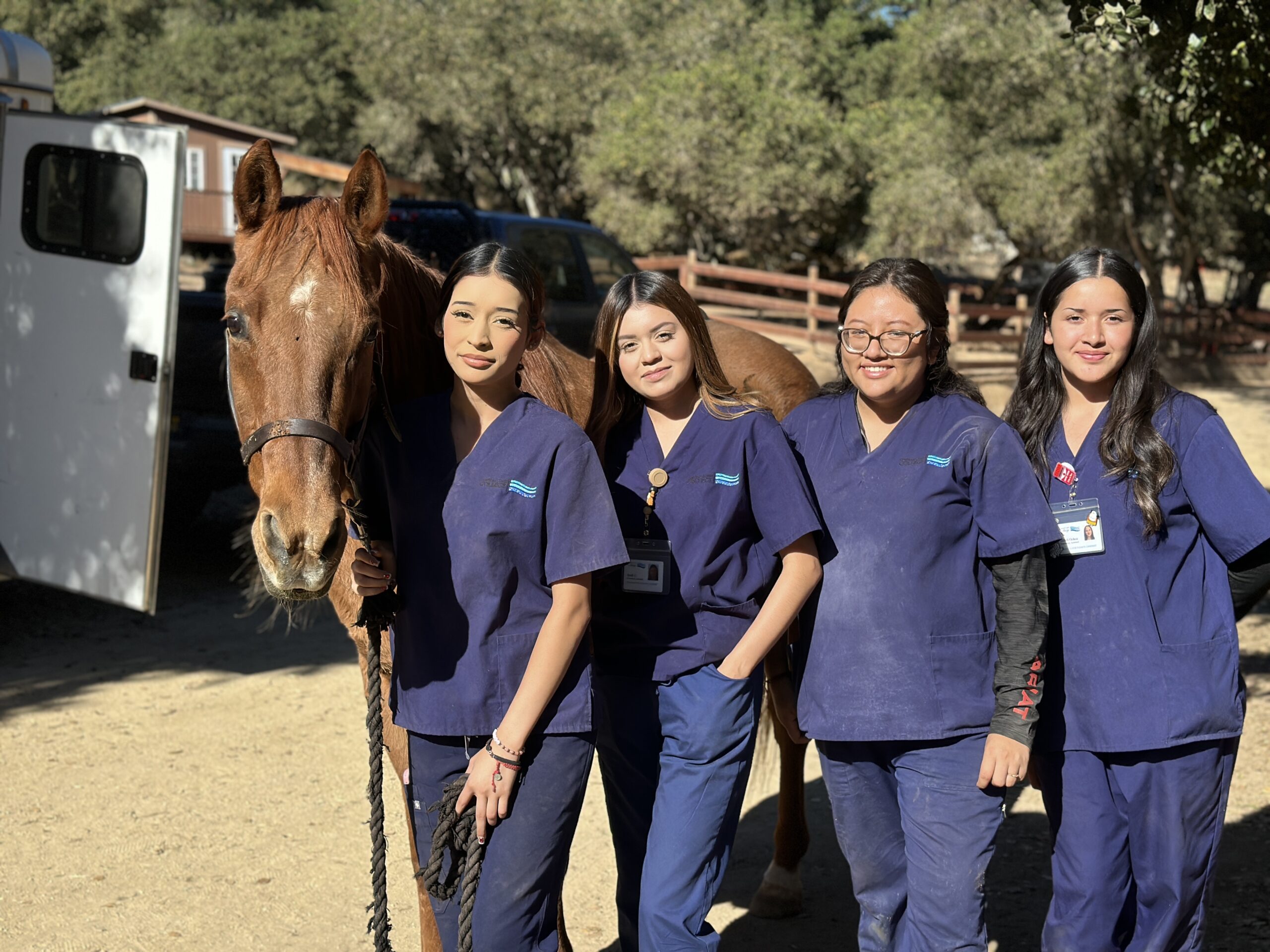 Veterinary Assistant in Salinas, CA Central Coast College